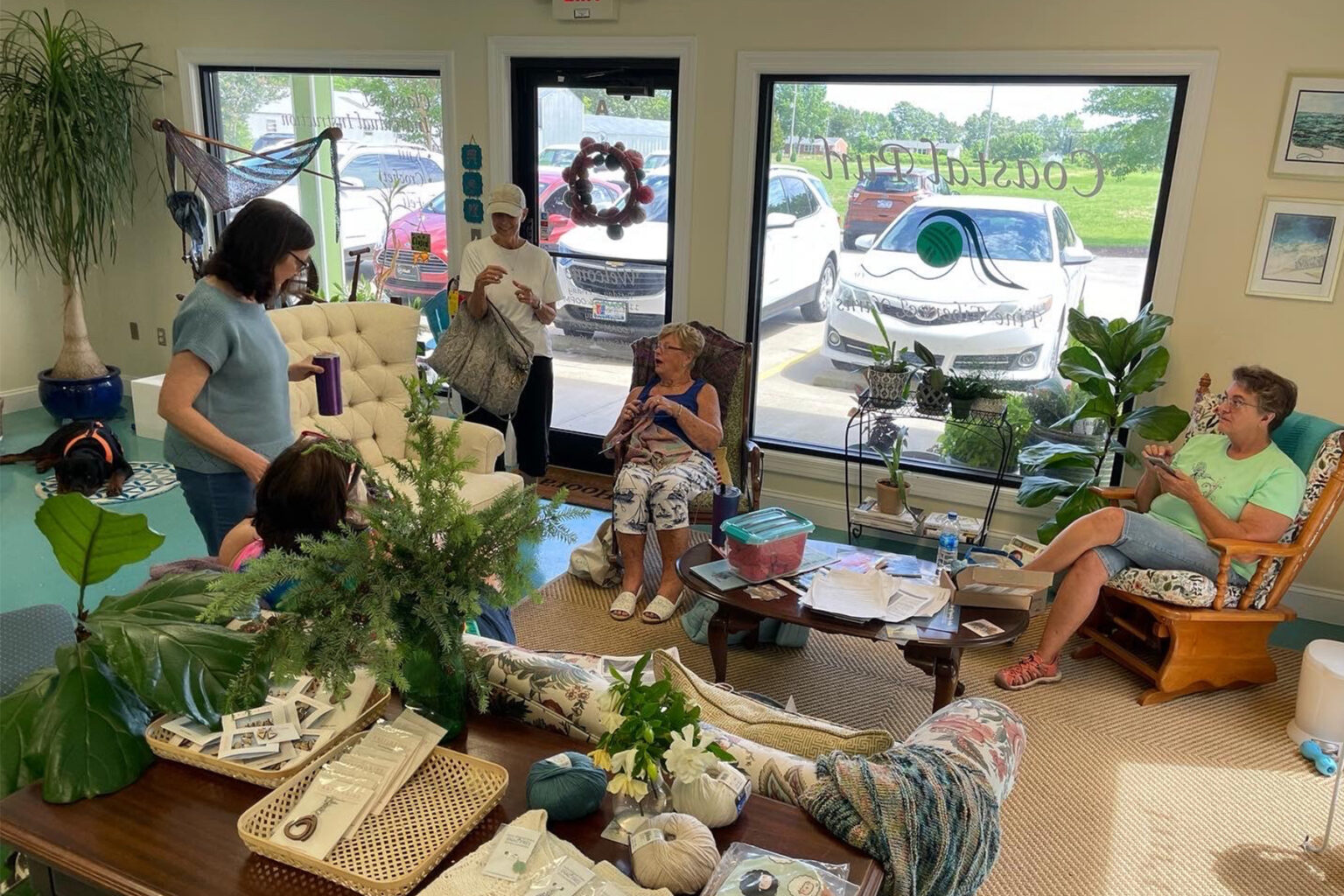 Meet a Local Yarn Shop – Coastal Purl – Universal Yarn Creative Network